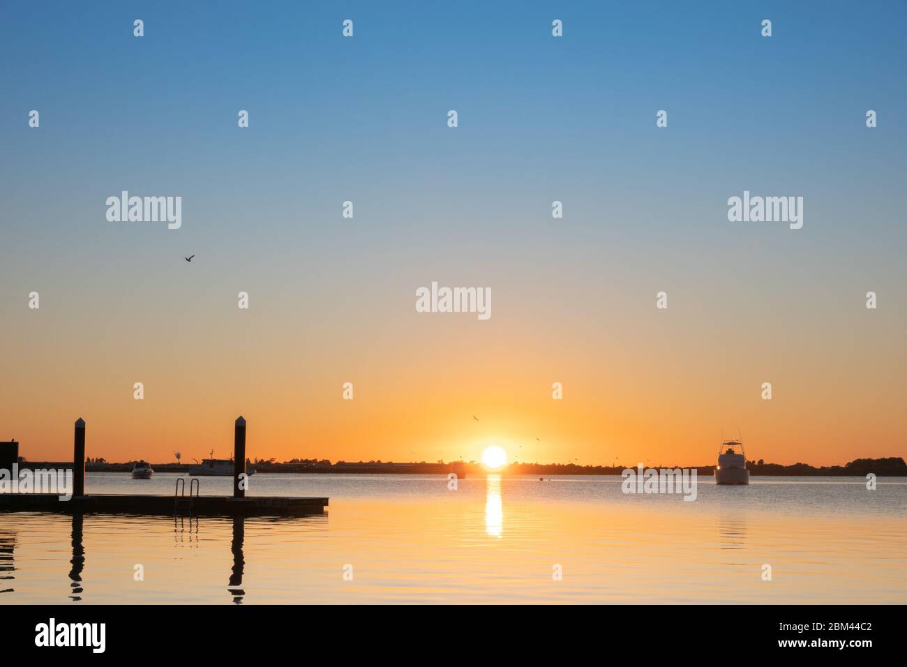 Tauranga harbour new zealand hi-res stock photography and images - Alamy