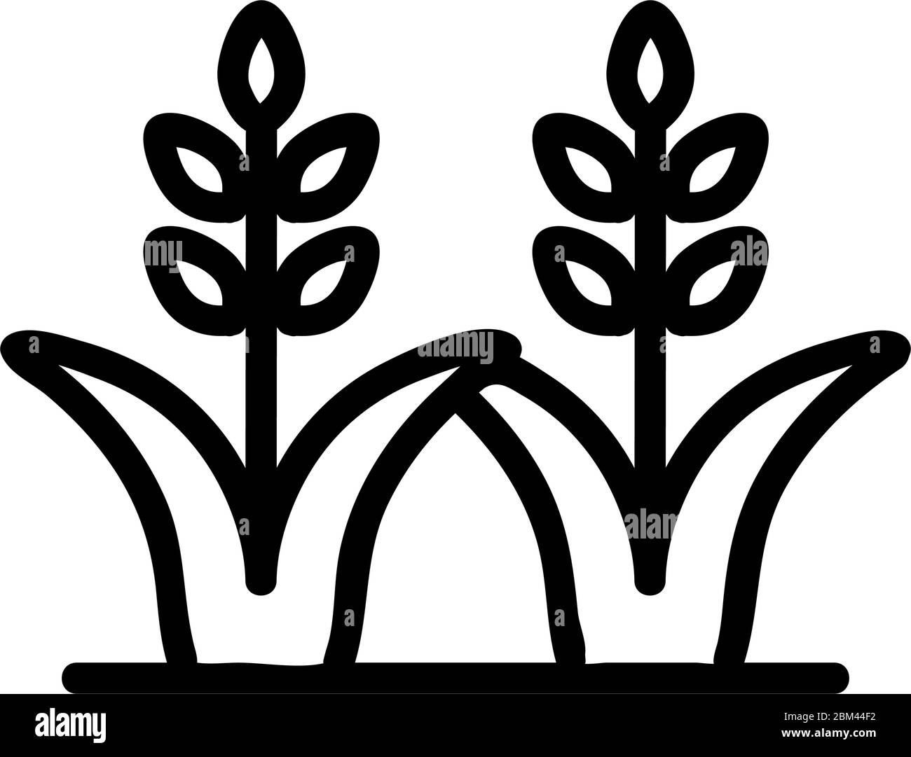 rice wheat sprouts icon vector outline illustration Stock Vector Image ...