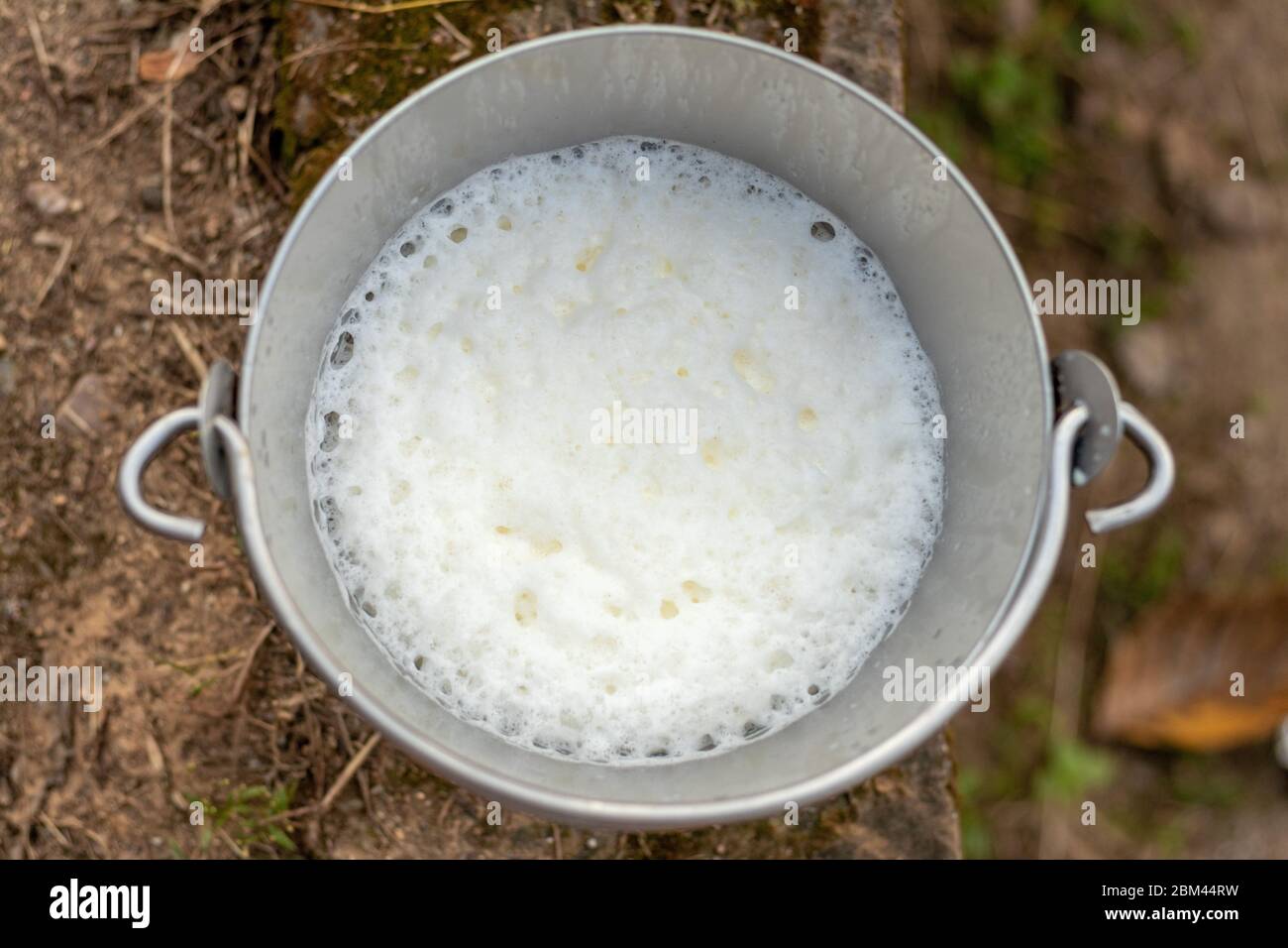 Cow milk bucket hi-res stock photography and images - Alamy