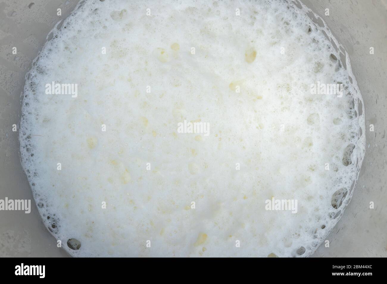 Milk cow bucket hi-res stock photography and images - Alamy