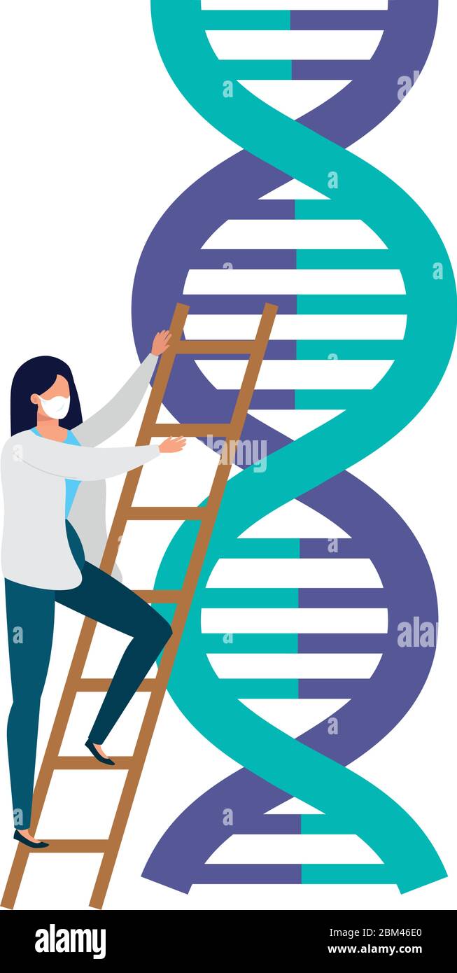 Female human chromosome Stock Vector Images - Alamy