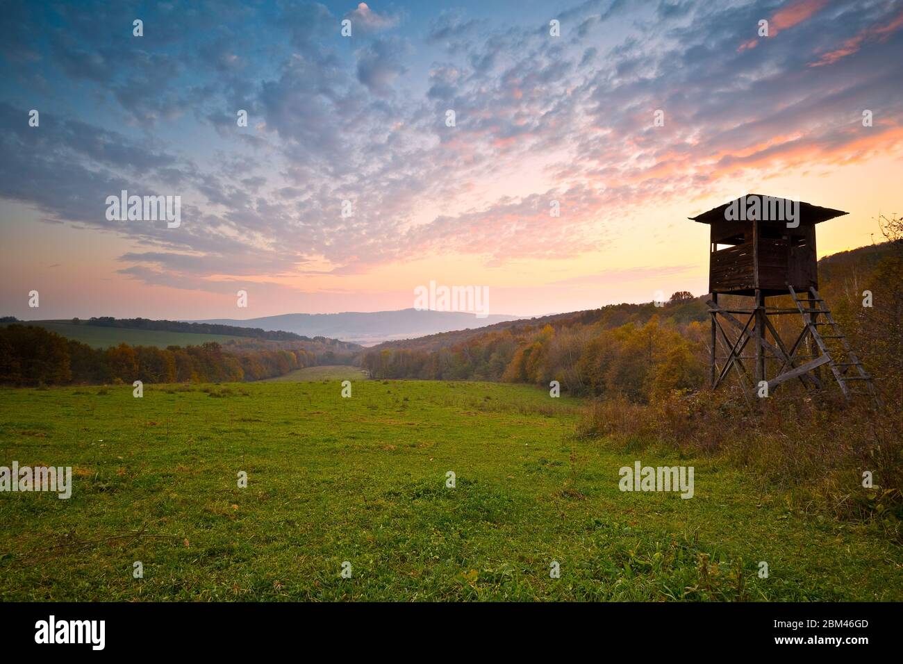 Hunting lookout tower hi-res stock photography and images - Alamy
