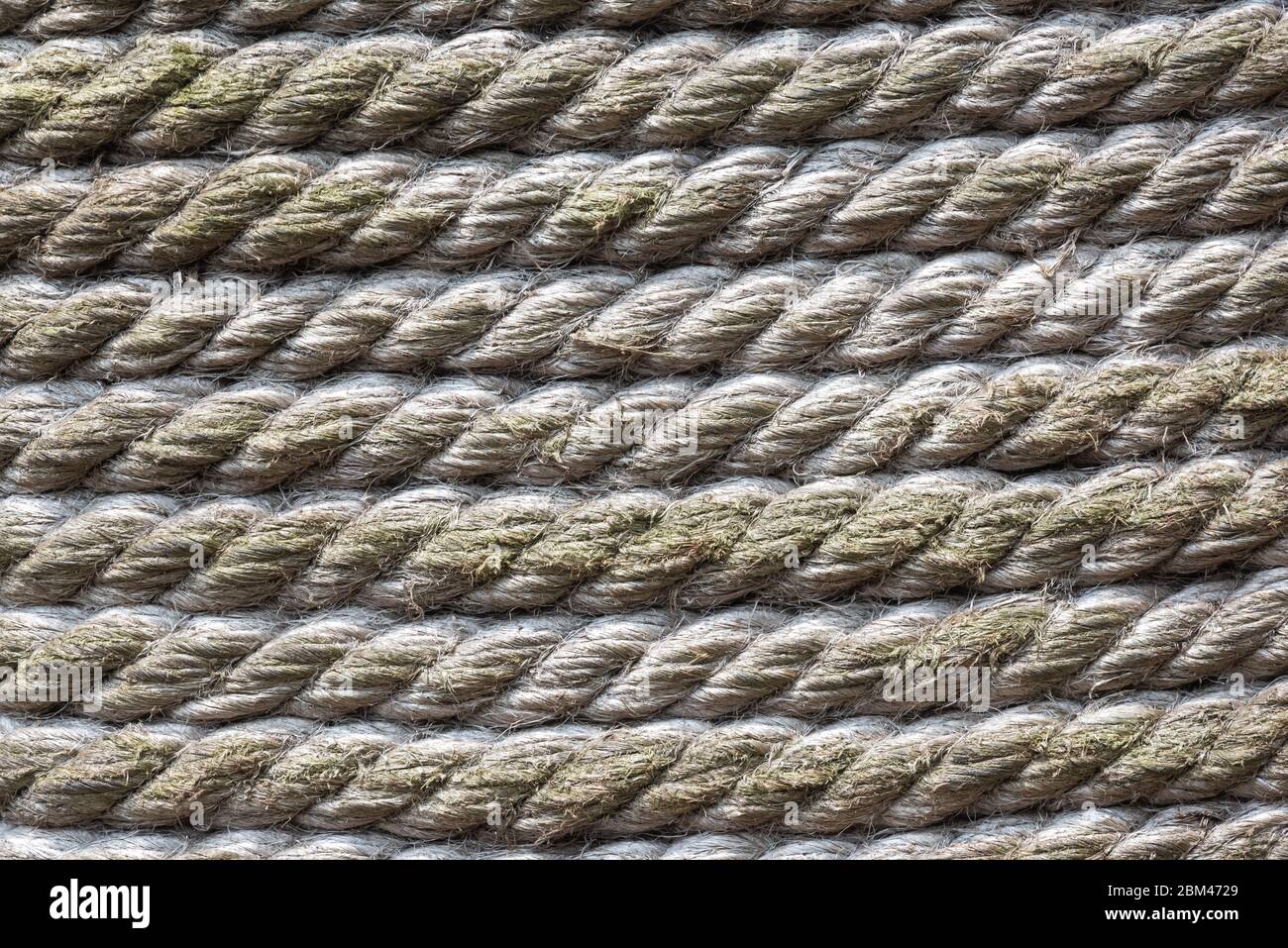 Tied rope texture in a row in parallel line background in closeup full ...