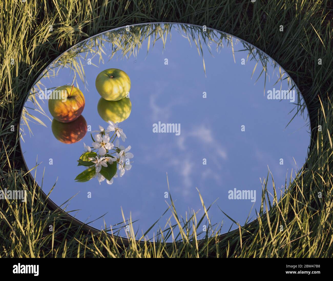 Poisonous Blossoms High Resolution Stock Photography and Images - Alamy