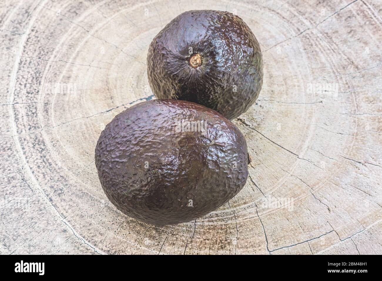 Hass avocados are characterized by an oval shape, medium size and small ...