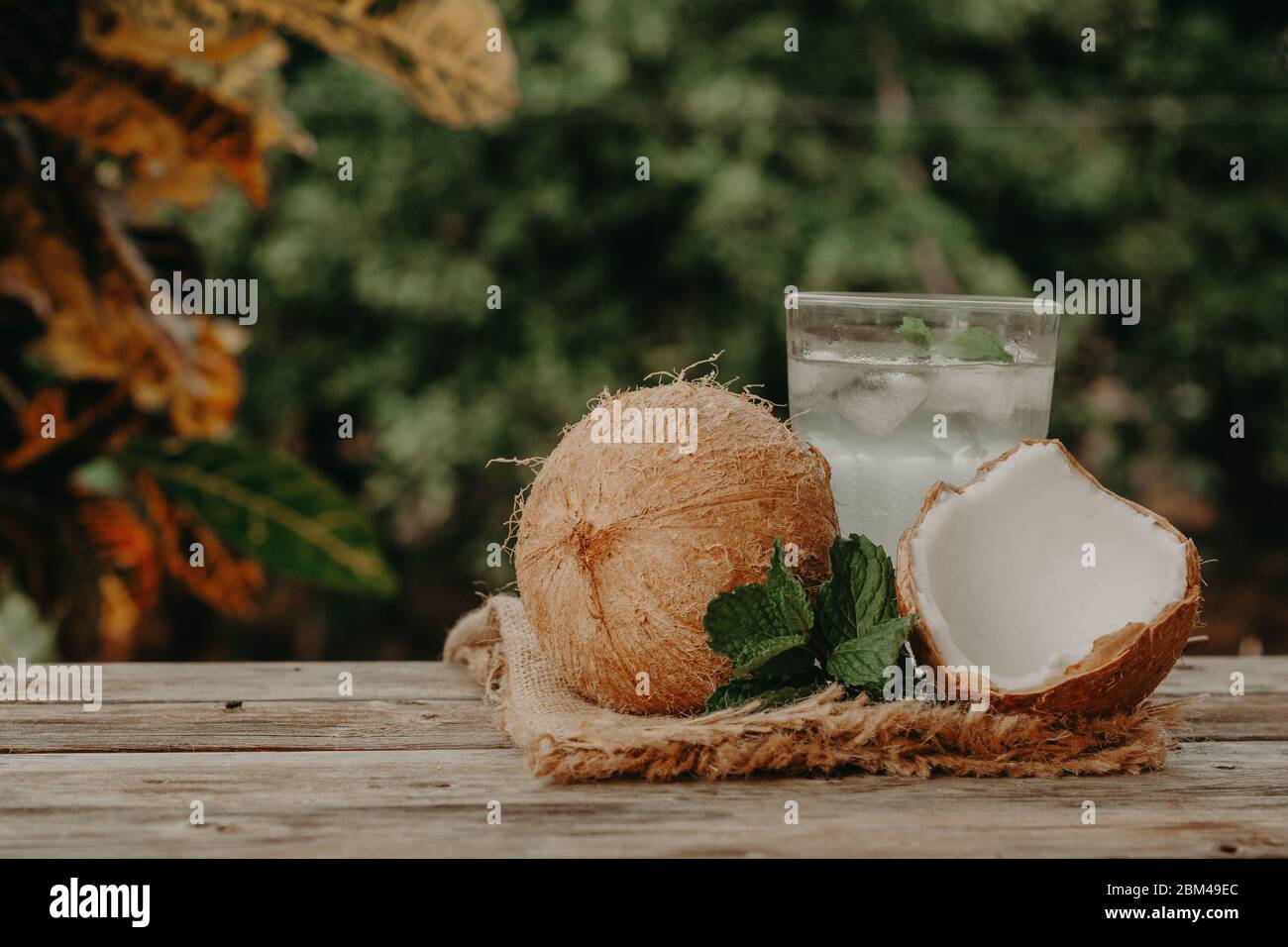 Coconut water. Fresh and delicious coconut water. wood and green ...