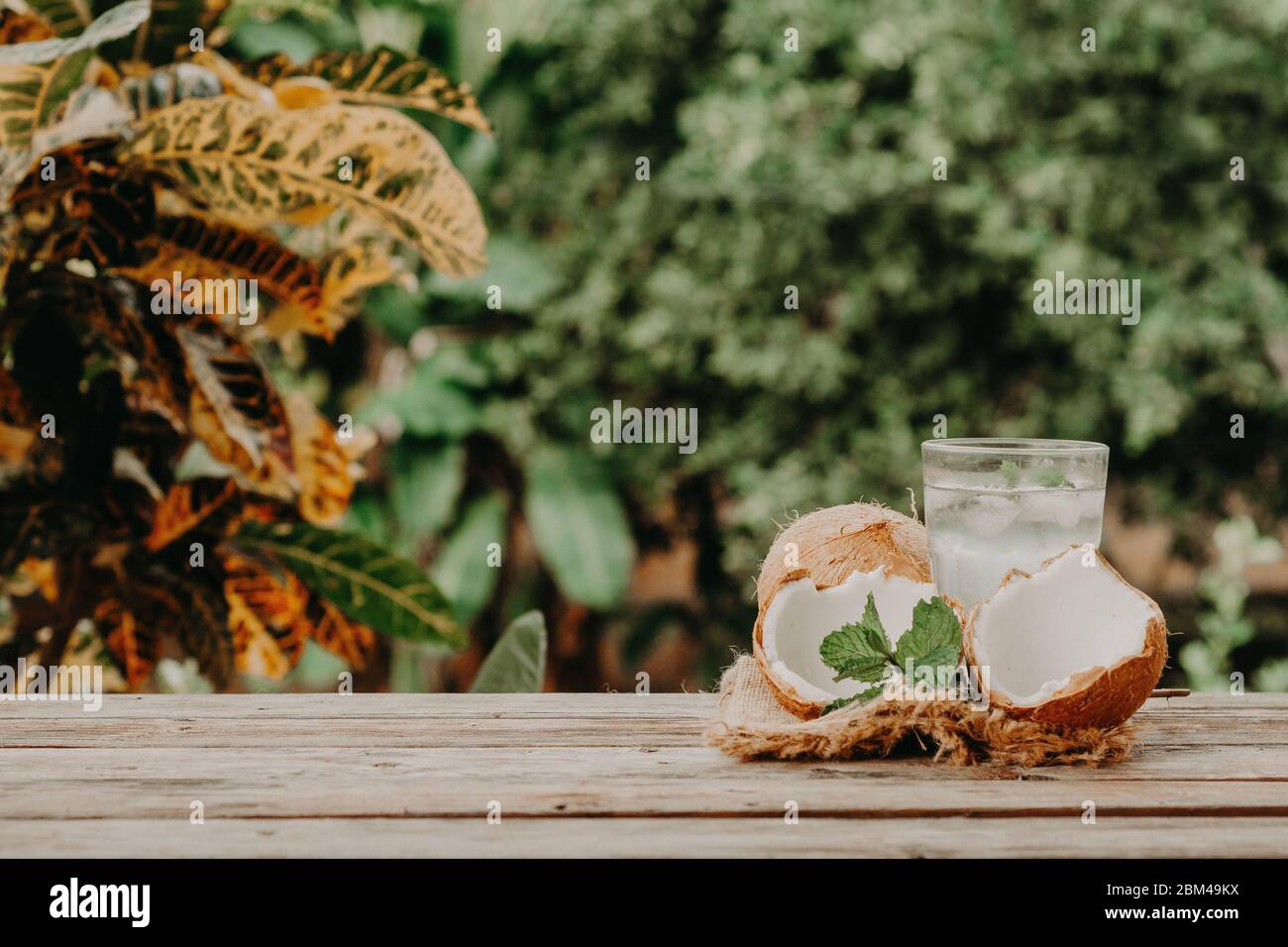 Coconut water. Fresh and delicious coconut water. wood and green ...