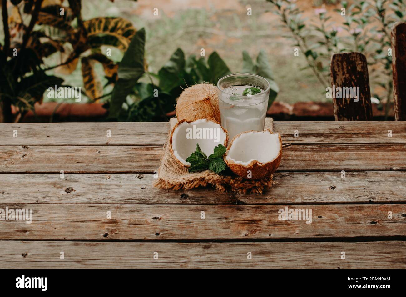 Coconut water. Fresh and delicious coconut water. wood and green ...