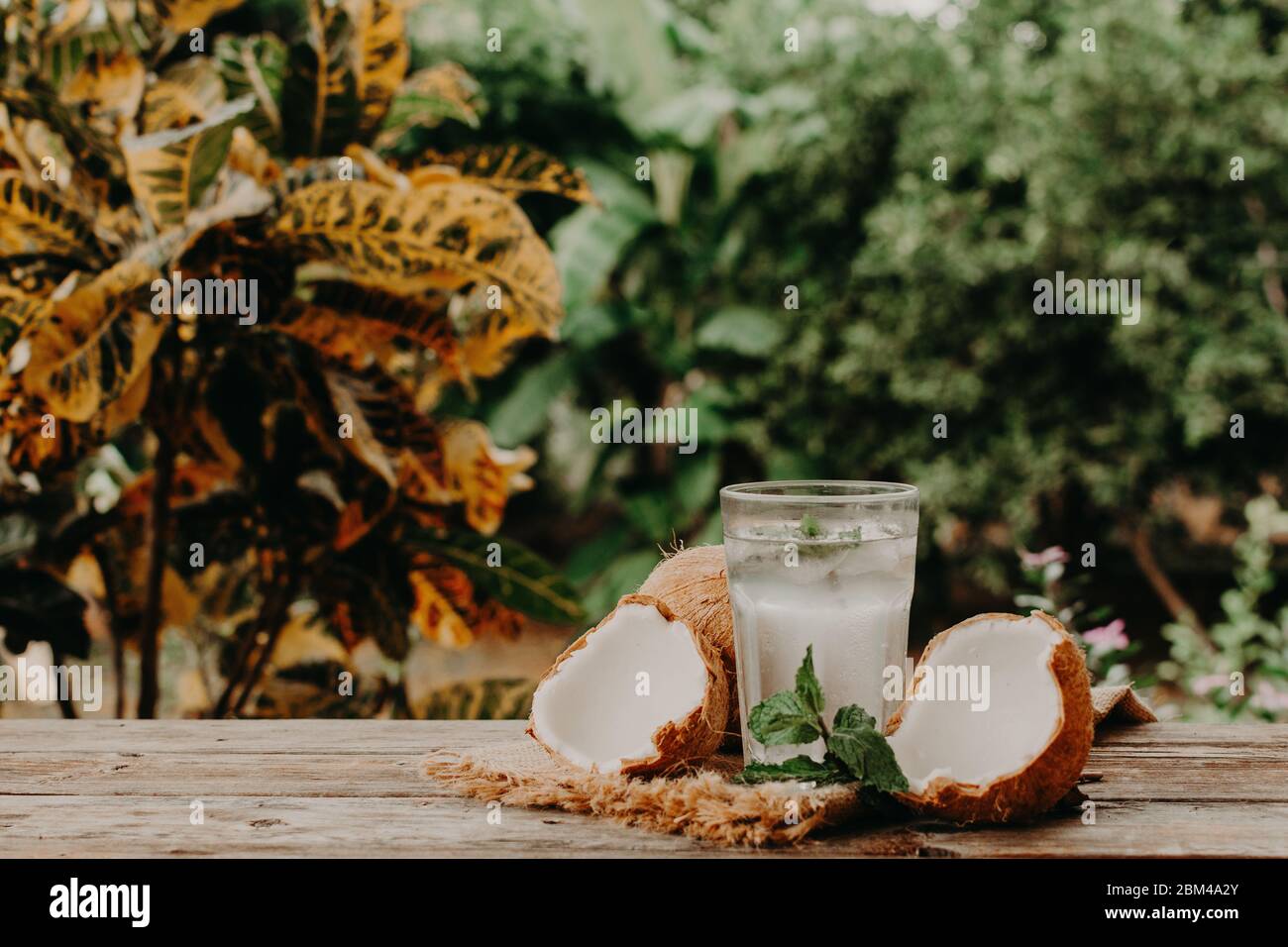 Coconut water. Fresh and delicious coconut water. wood and green ...
