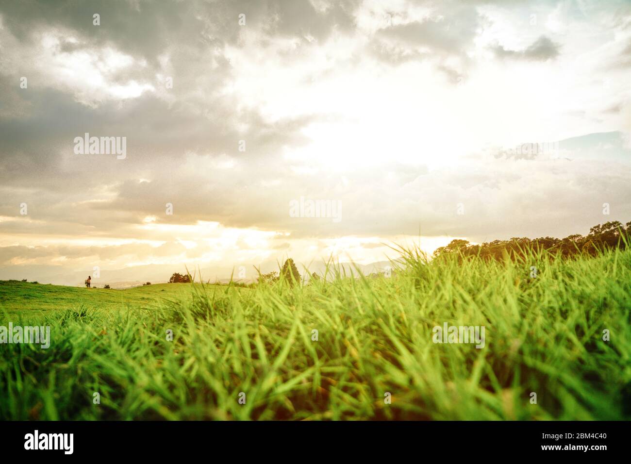 Landscape in Costa Rica, Sunset Grass and a human Stock Photo - Alamy