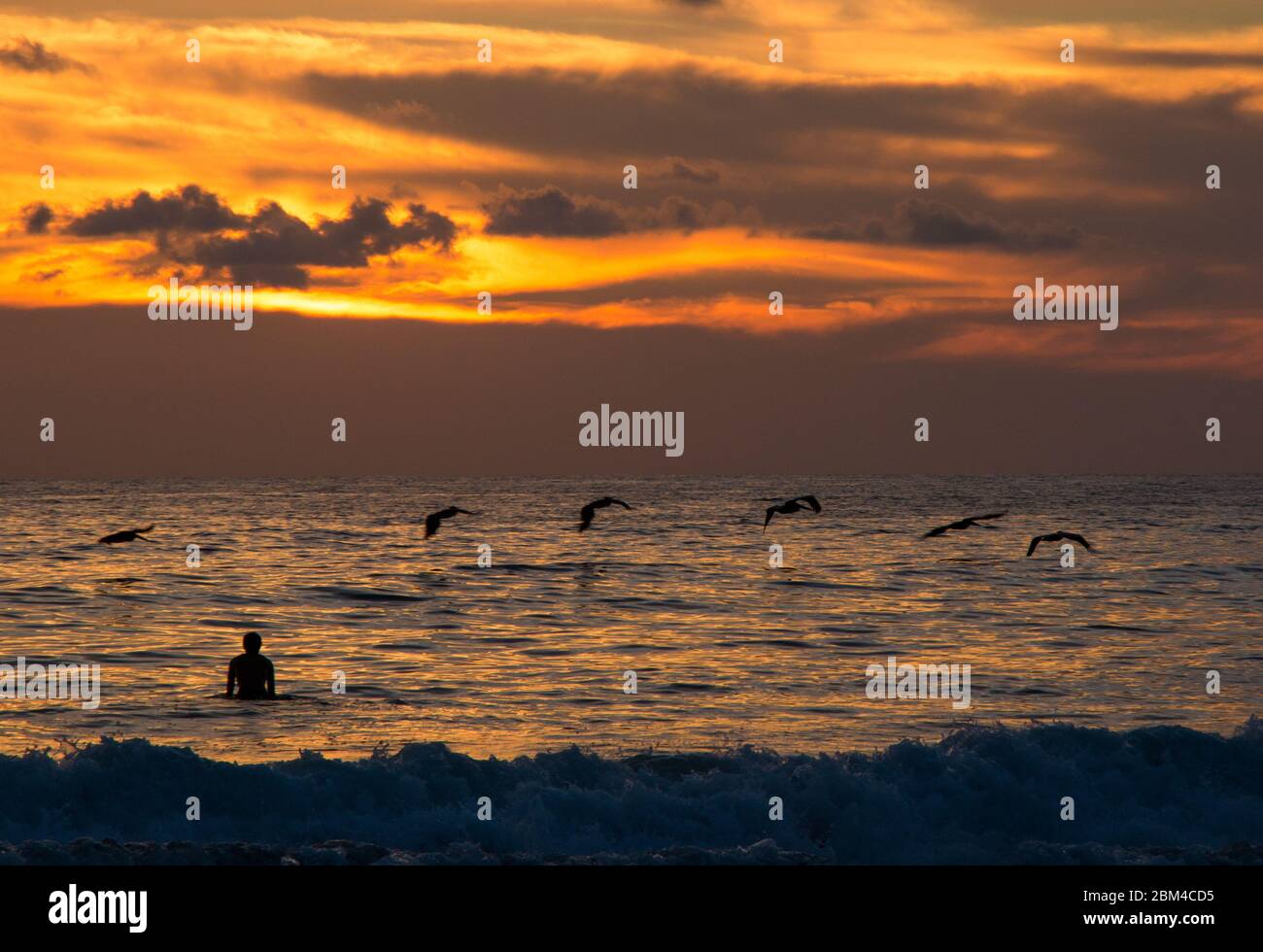 Sunset beach and human and birds silhouette Stock Photo - Alamy