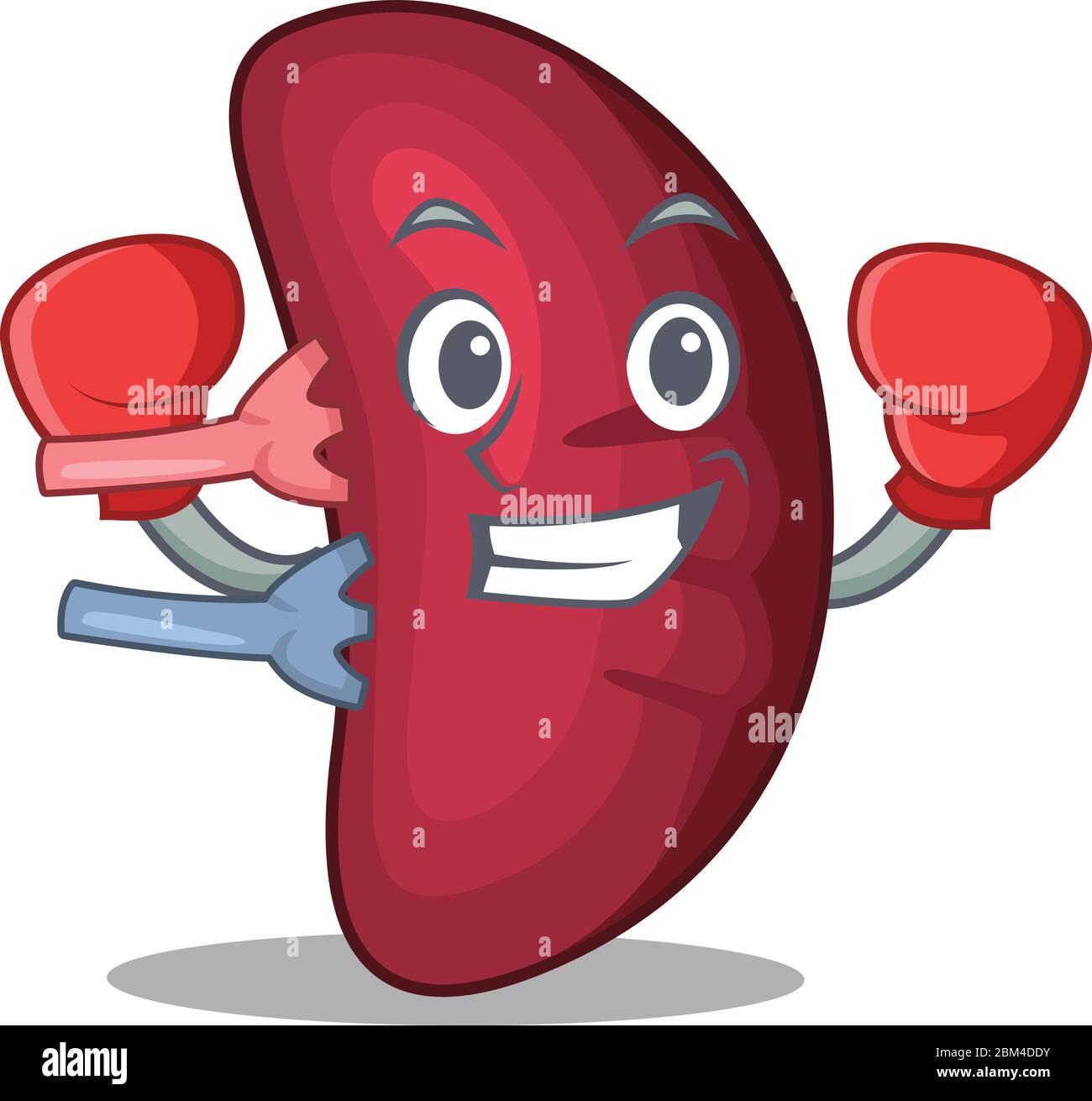 A Sporty Boxing Athlete Mascot Design Of Human Spleen With Red Boxing