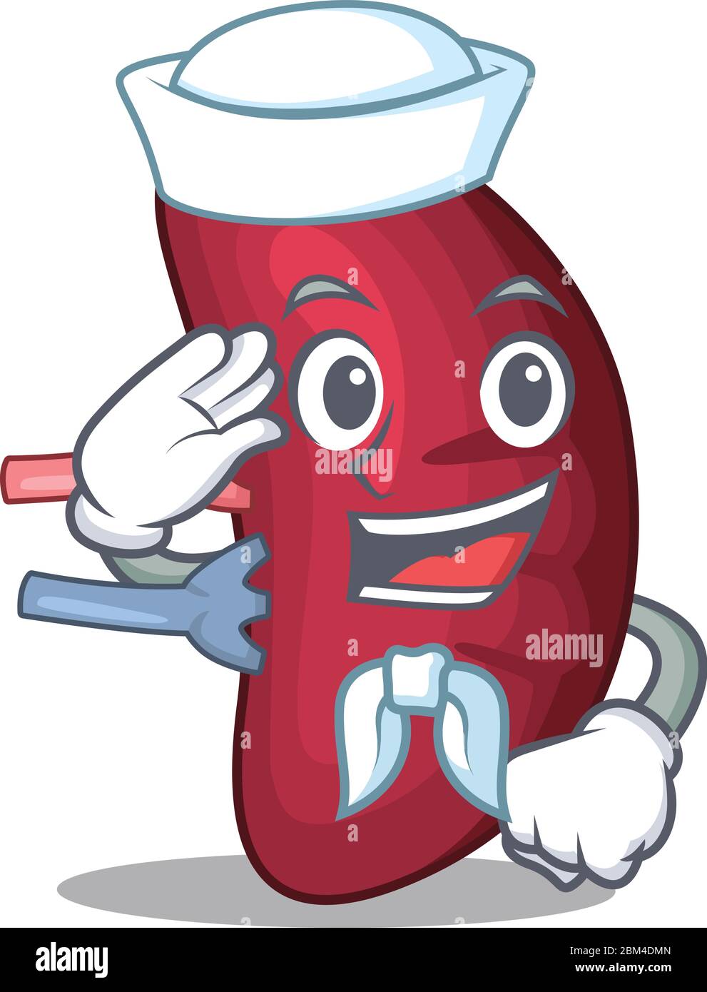 Sailor cartoon character of human spleen with white hat Stock Vector ...
