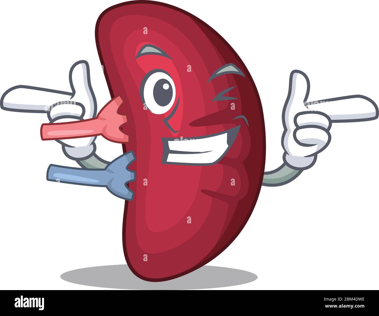 Cartoon design concept of human spleen with funny wink eye Stock Vector ...