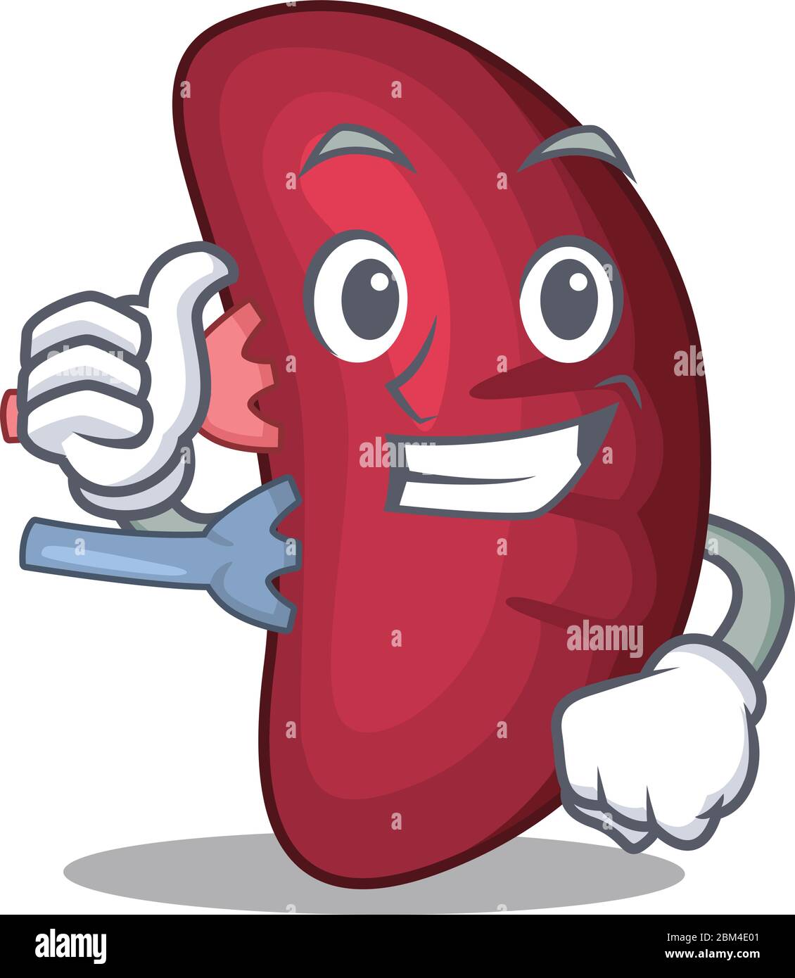 Human spleen cartoon character design making OK gesture Stock Vector ...