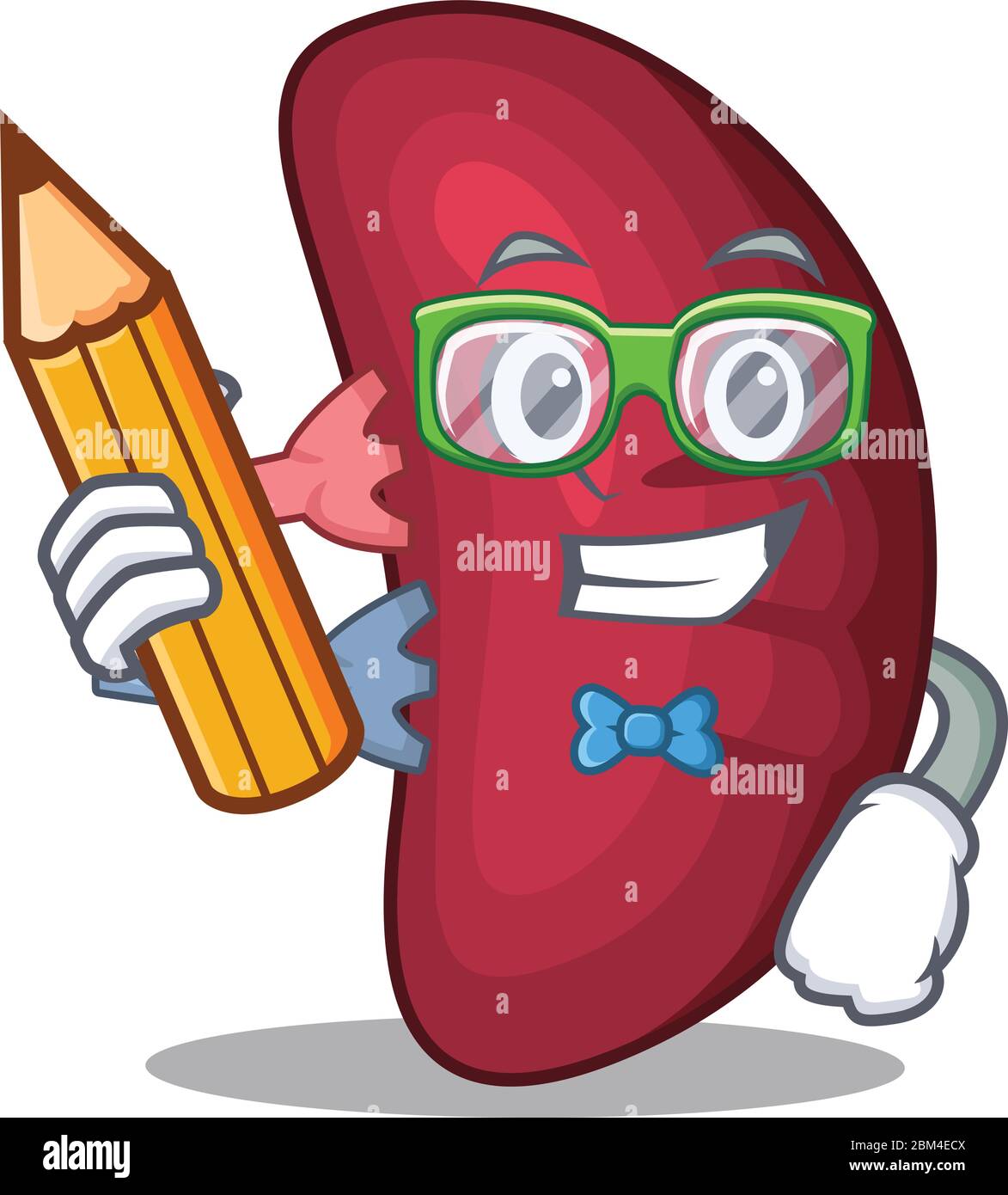 A brainy student human spleen cartoon character with pencil and glasses ...