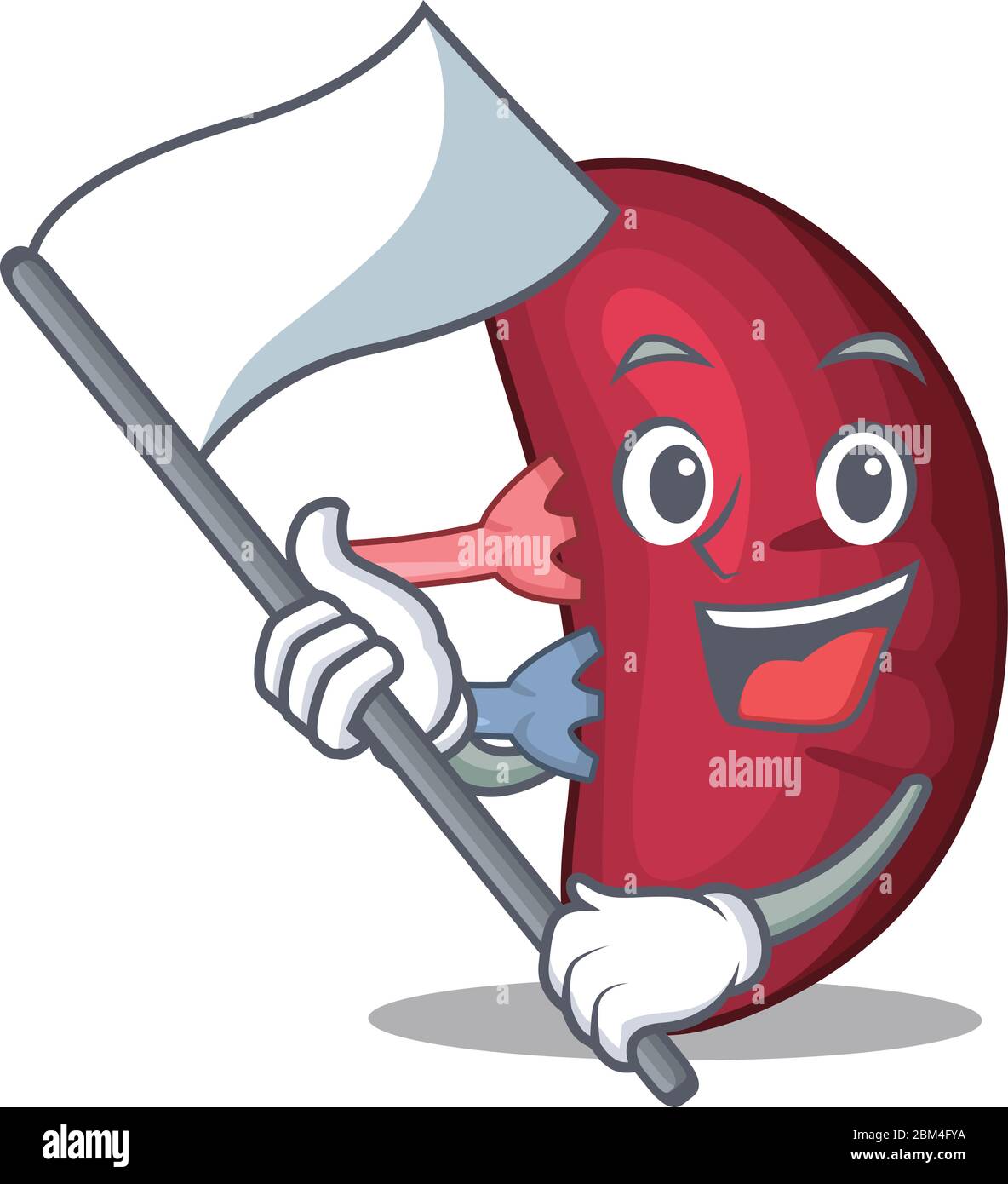 A nationalistic human spleen mascot character design with flag Stock ...