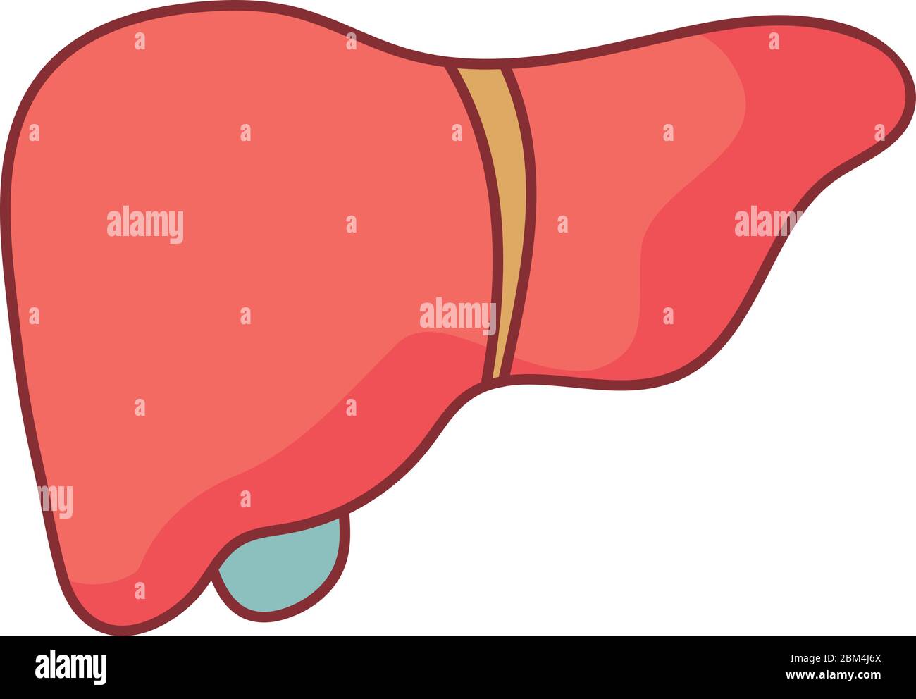 liver flat style icon design of Medical care health and emergency theme ...