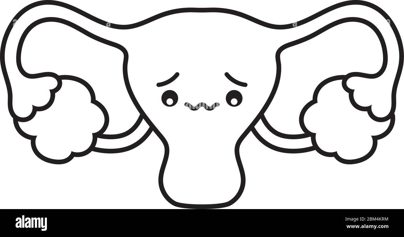 Male Reproductive System Cartoon