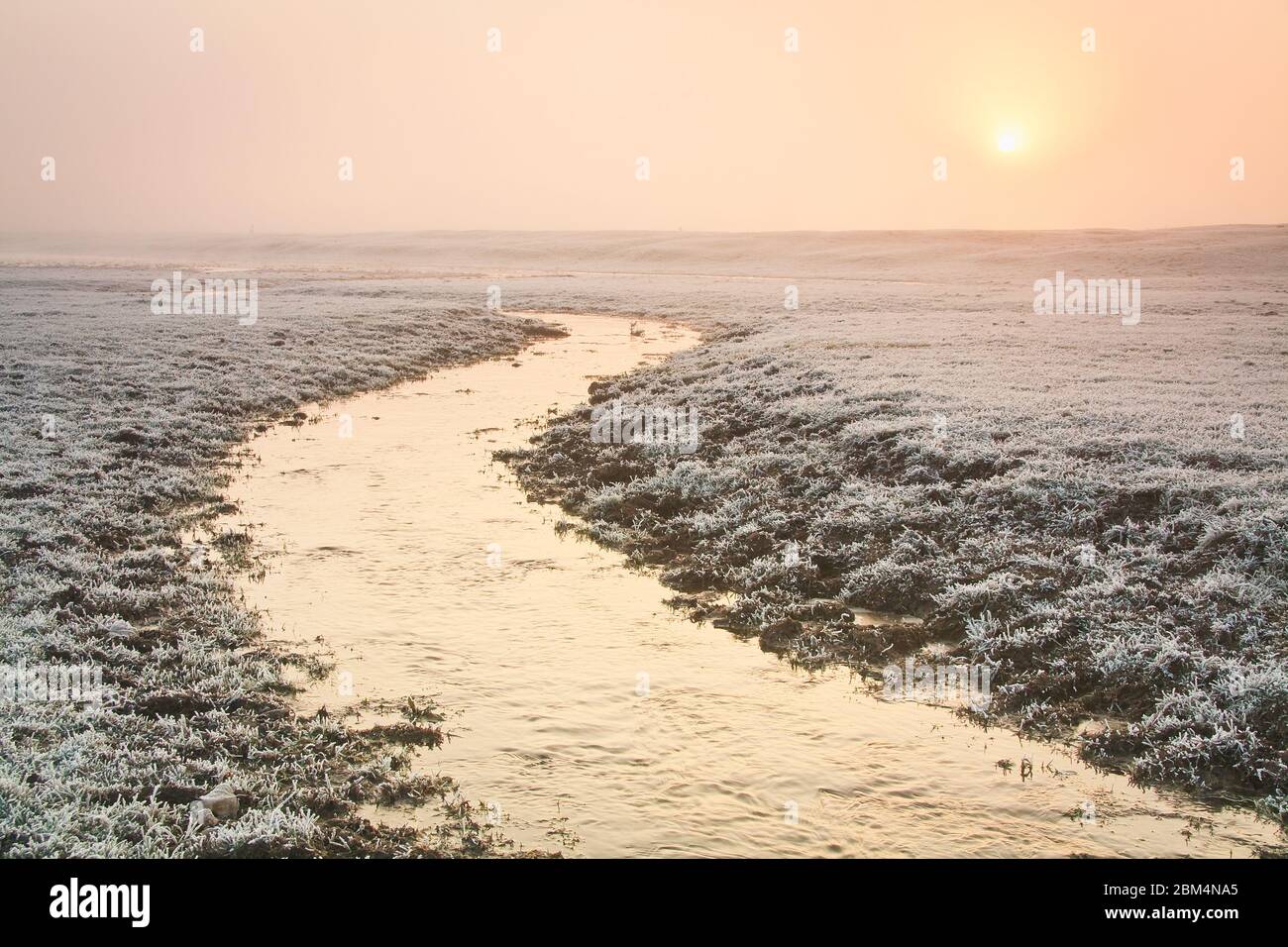 A stream on a foggy winter morning, Oxford, UK Stock Photo - Alamy