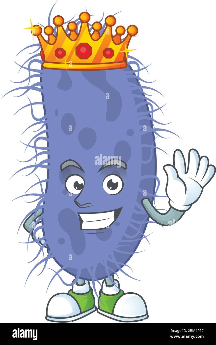 Typhus vector vectors hi-res stock photography and images - Alamy