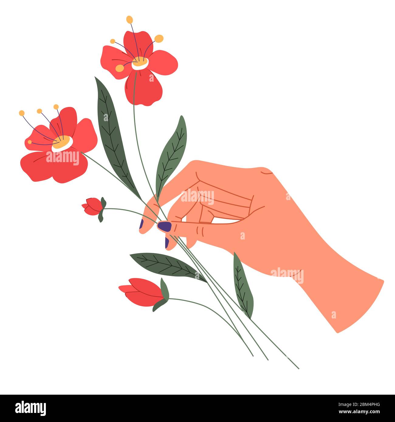 Tender romantic flower composition Stock Vector Images - Alamy