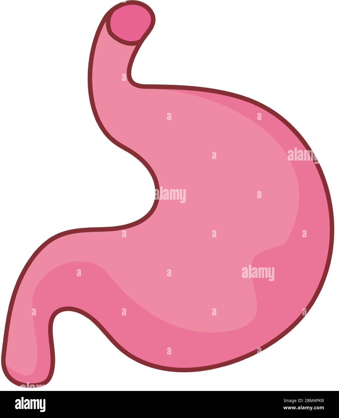 stomach flat style icon design of Medical care health and emergency ...