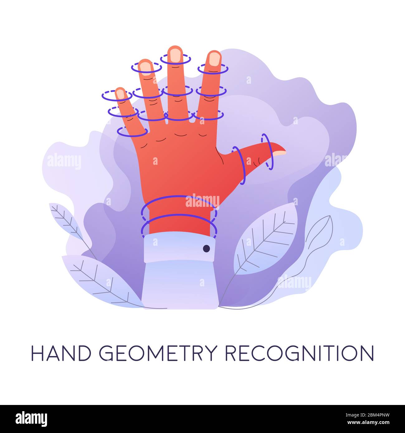 Finger geometry recognition hi-res stock photography and images - Alamy