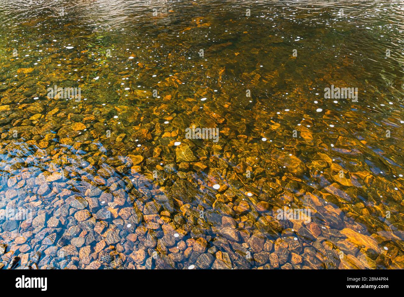 River bed showing rocks Stock Photo - Alamy