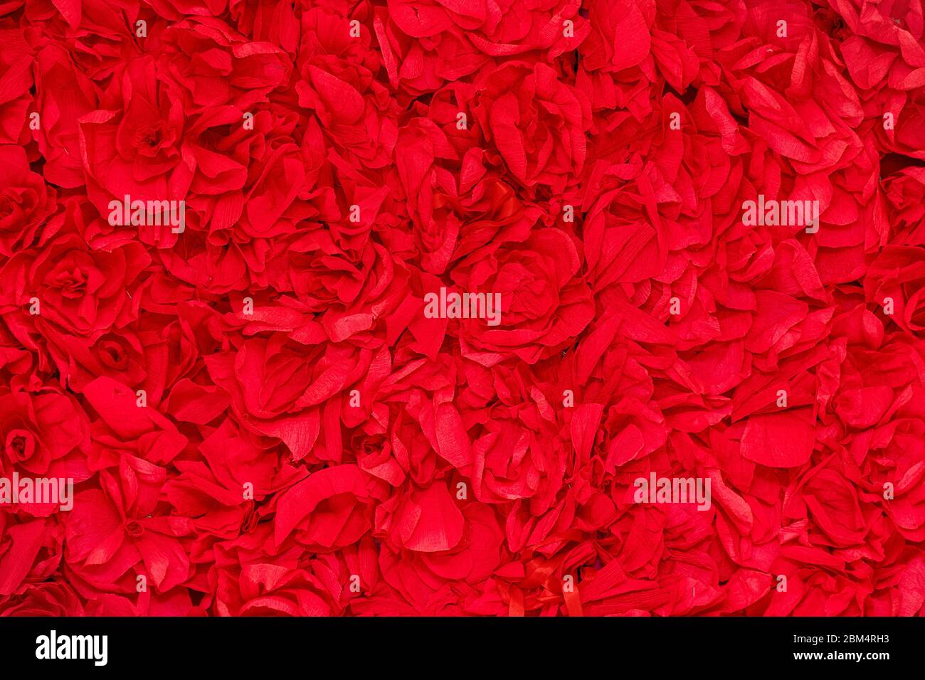 Red rose petals texture for background and design. Flower background ...