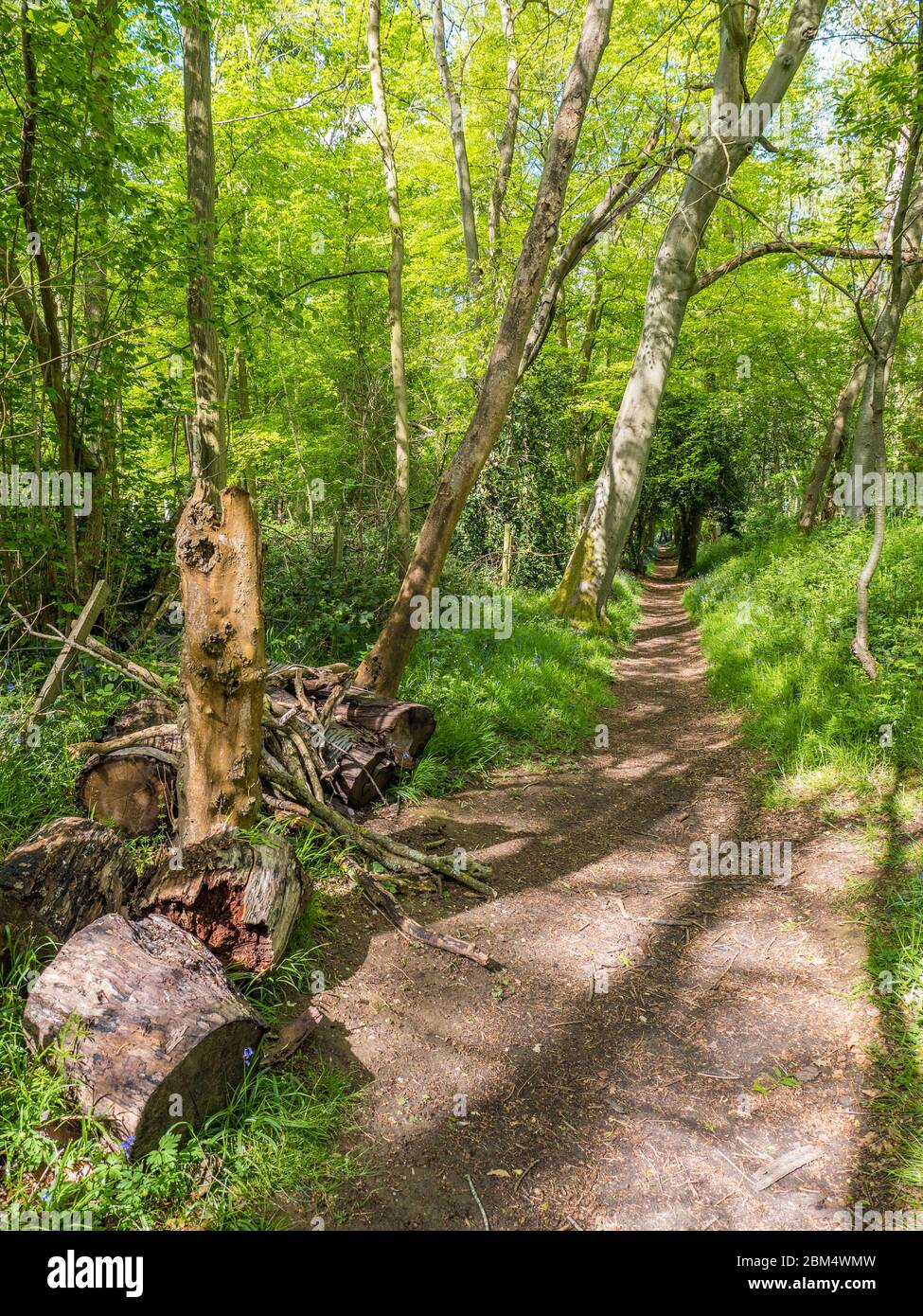 Mongwell ridgeway hi-res stock photography and images - Alamy