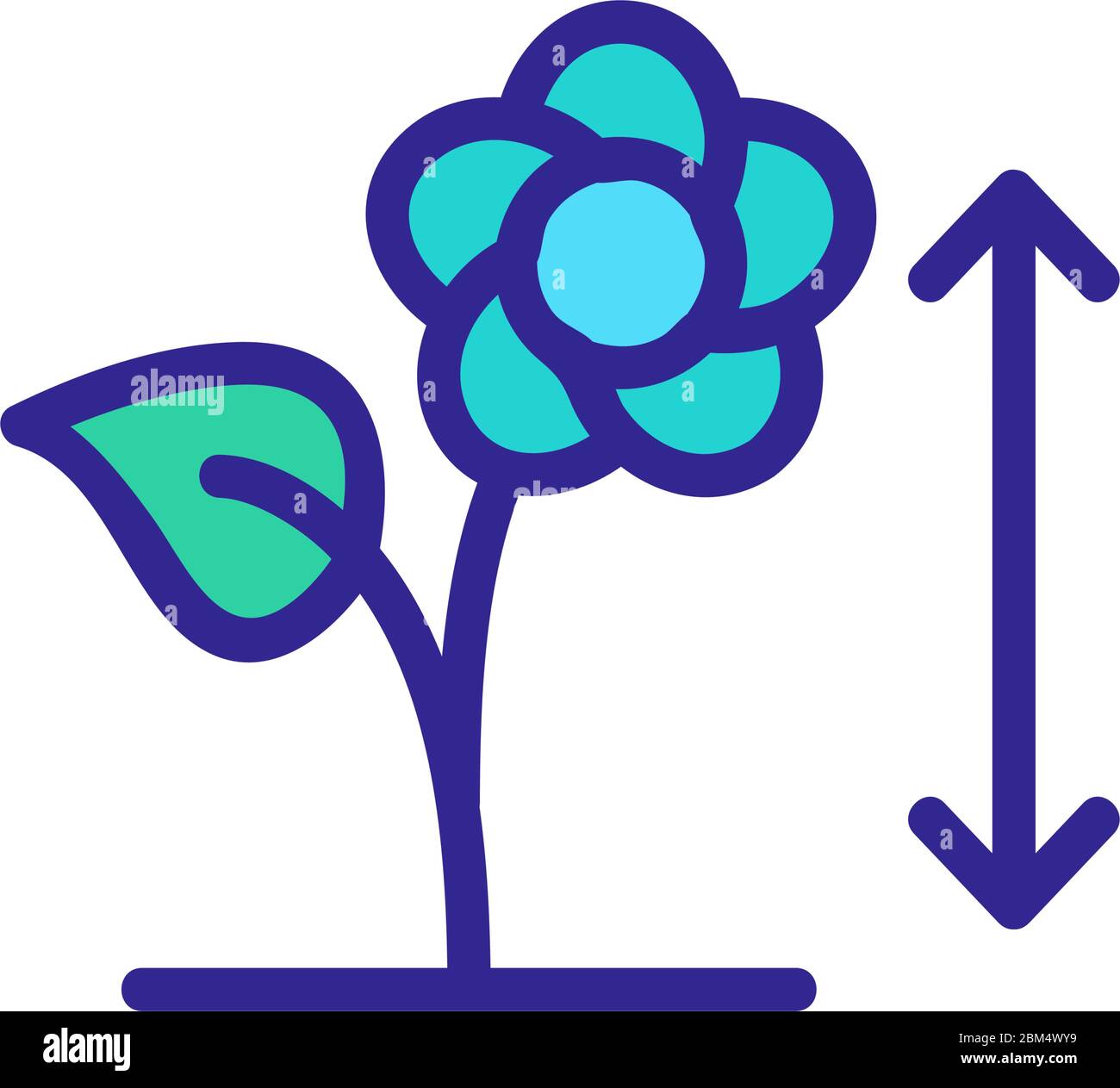 measuring flower growth icon vector outline illustration Stock Vector ...
