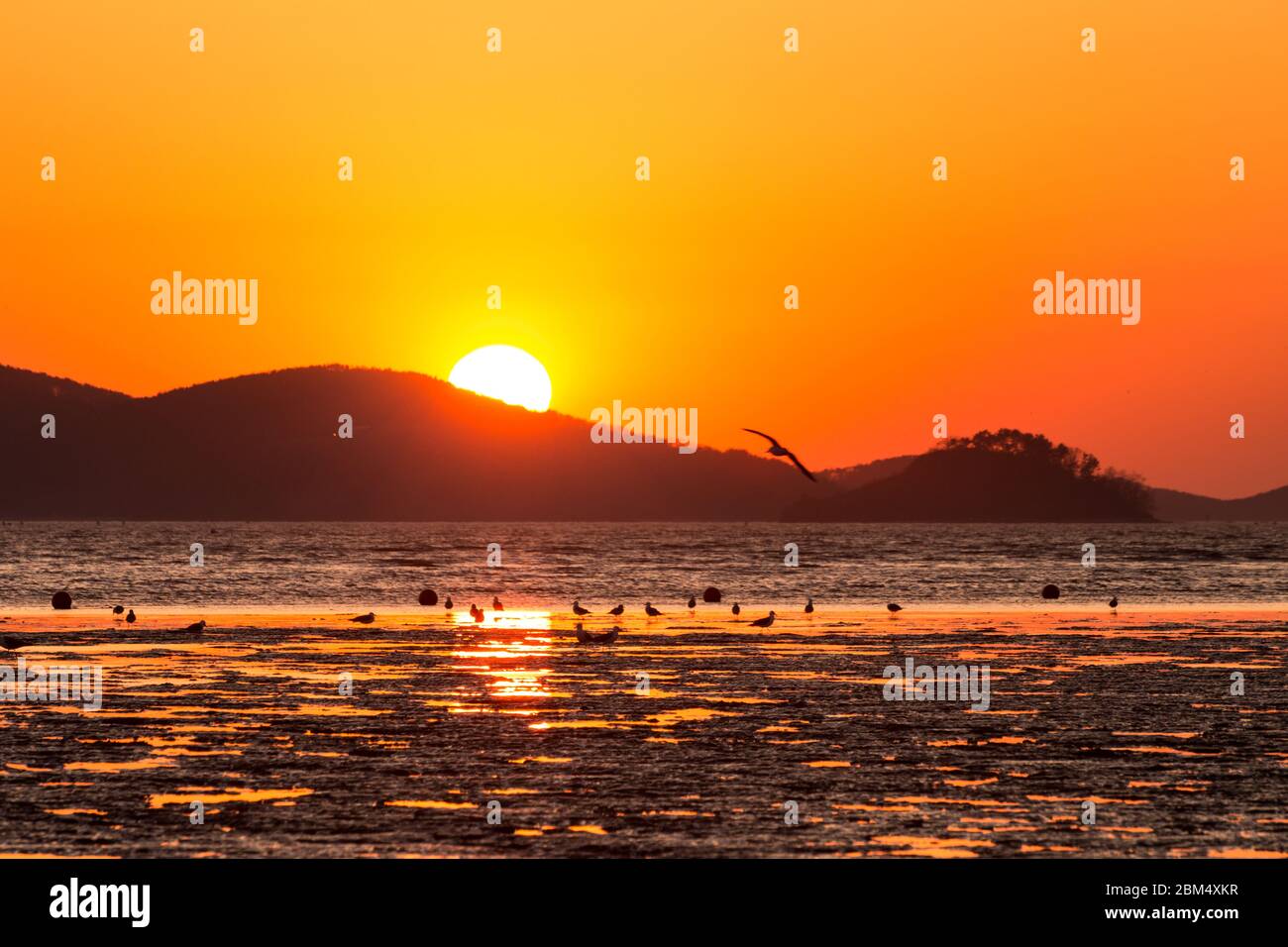 Korea west coast hi-res stock photography and images - Alamy