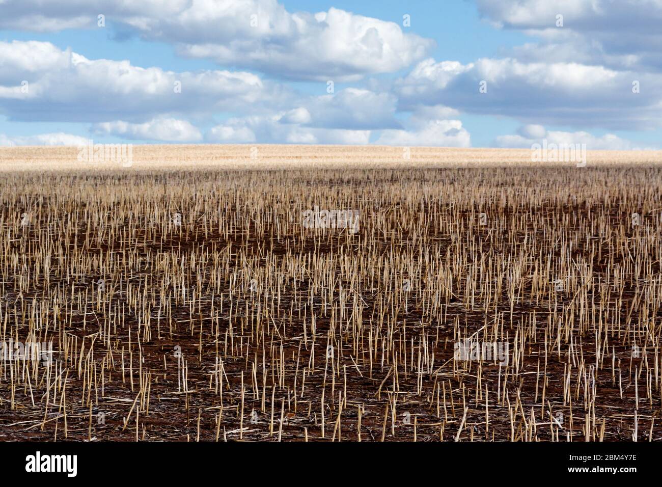 Farm drought australia hi-res stock photography and images - Alamy