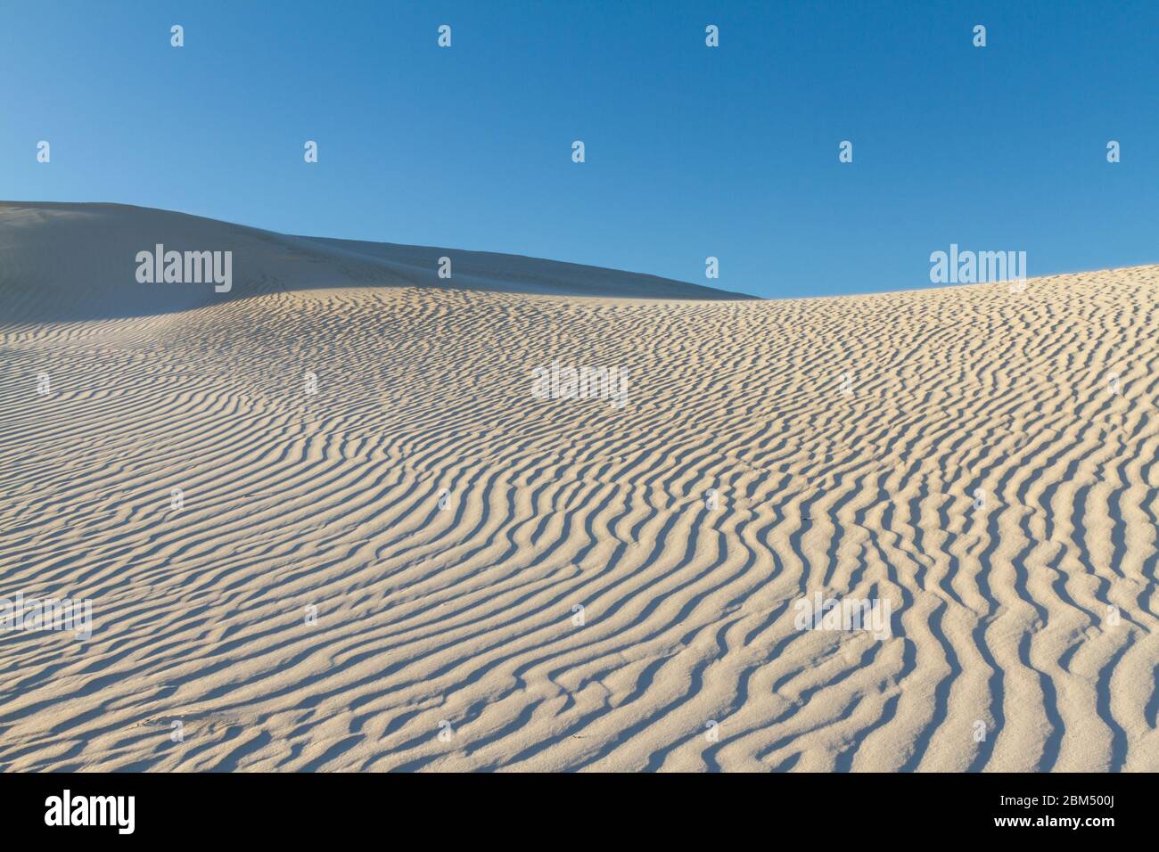 Sand dunes western australia hi-res stock photography and images - Alamy