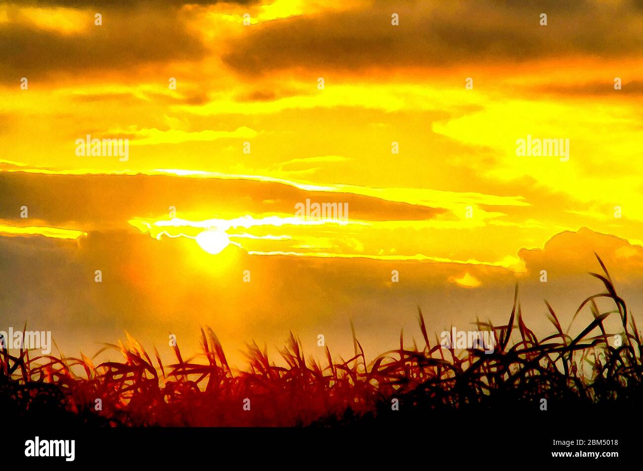 Beautiful sunset scene colorful painting looks like picture Stock Photo ...