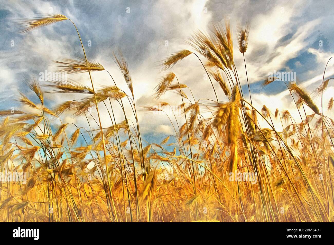 Rye field painting hi-res stock photography and images - Alamy