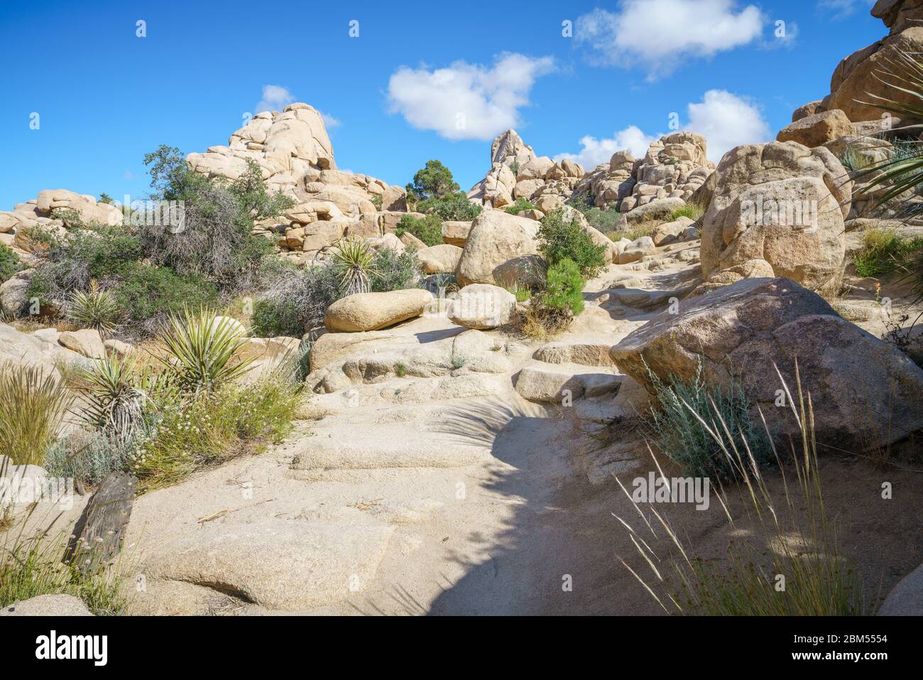 hiking the hidden valley trail in joshua tree national park, california ...