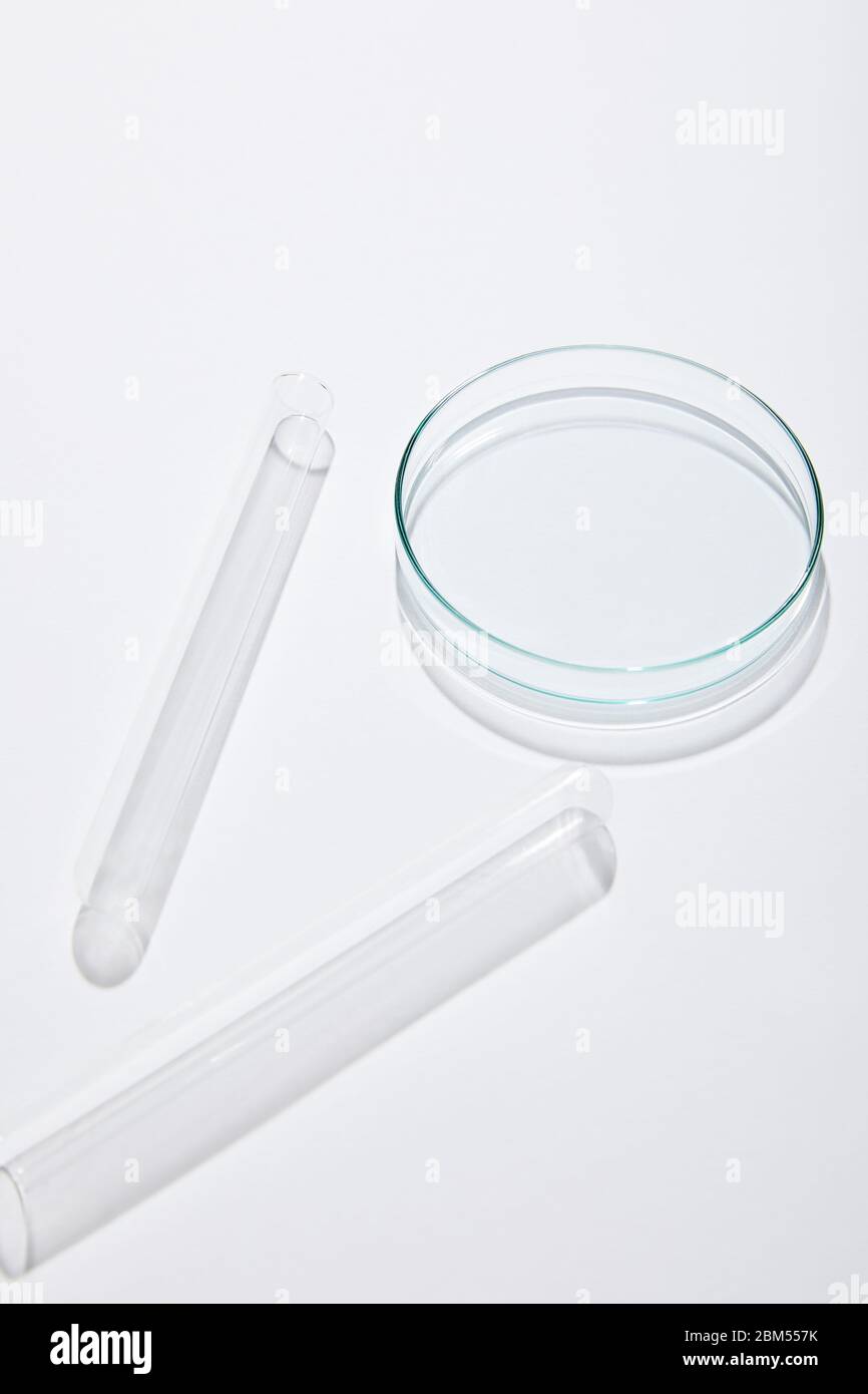 High angle view of laboratory glassware and test tubes on grey ...