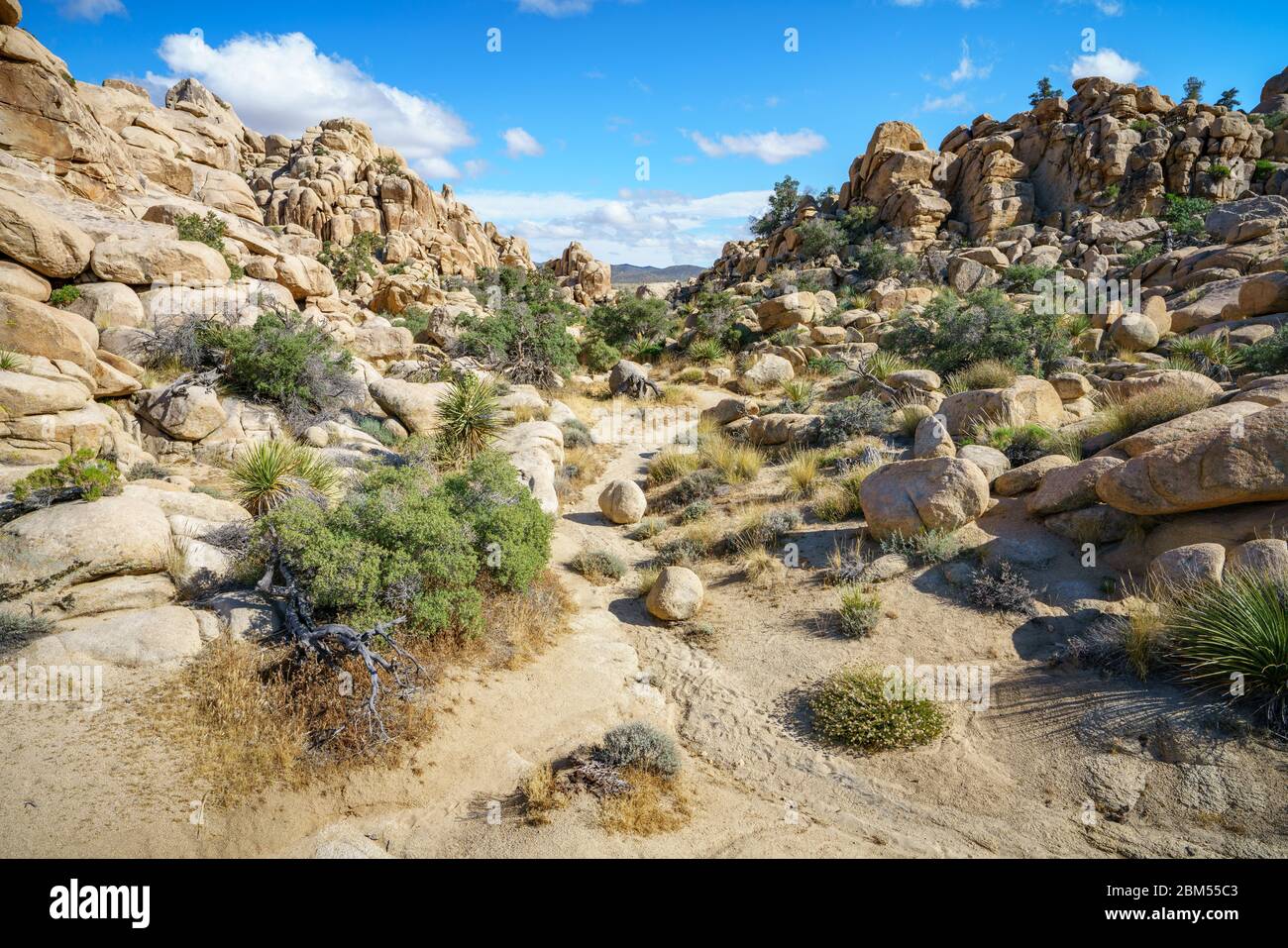 hiking the hidden valley trail in joshua tree national park, california ...