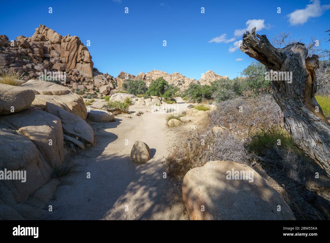 hiking the hidden valley trail in joshua tree national park, california ...