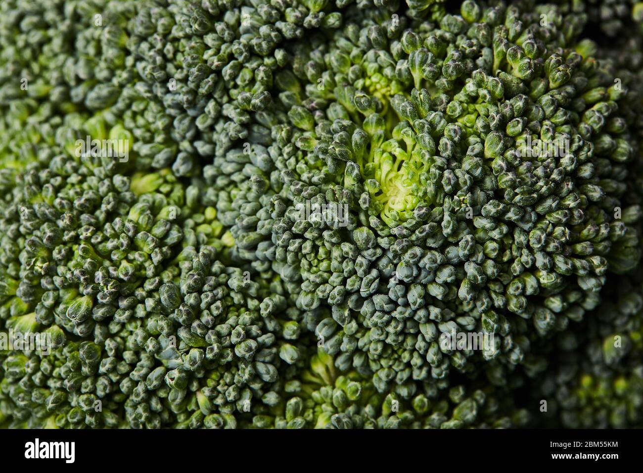 Broccoli texture hi-res stock photography and images - Alamy
