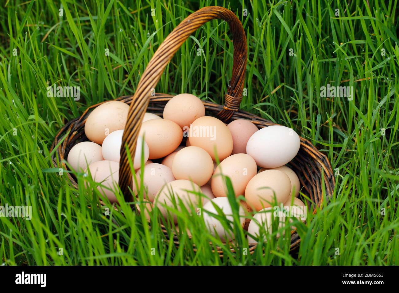Farm farms farming hi-res stock photography and images - Alamy