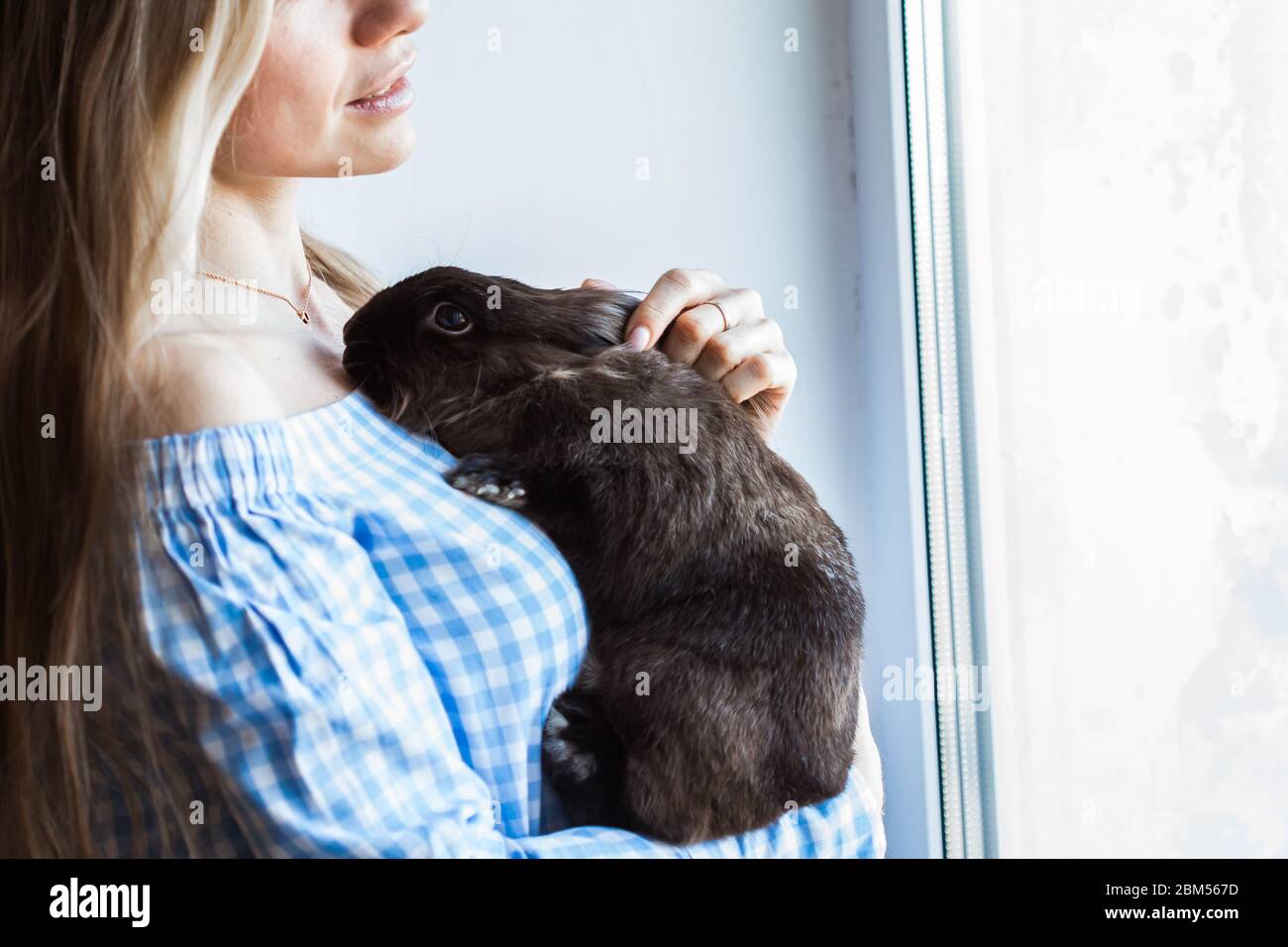 Pet and Easter concept - Happy girl hugging brown rabbit at home Stock ...