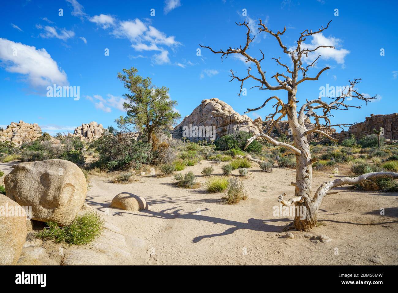 hiking the hidden valley trail in joshua tree national park, california ...