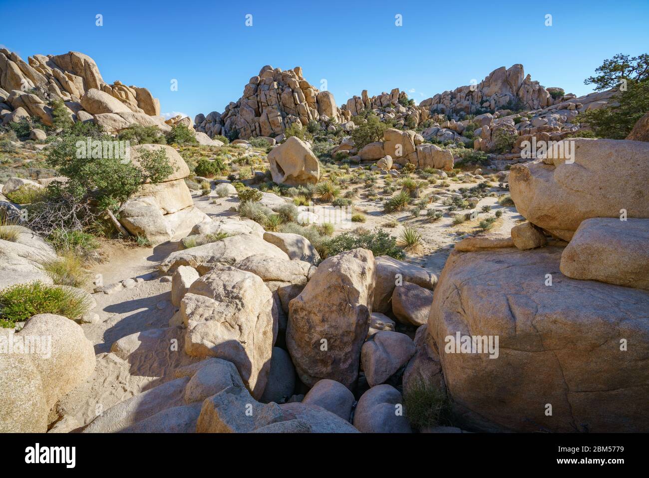 hiking the hidden valley trail in joshua tree national park, california ...