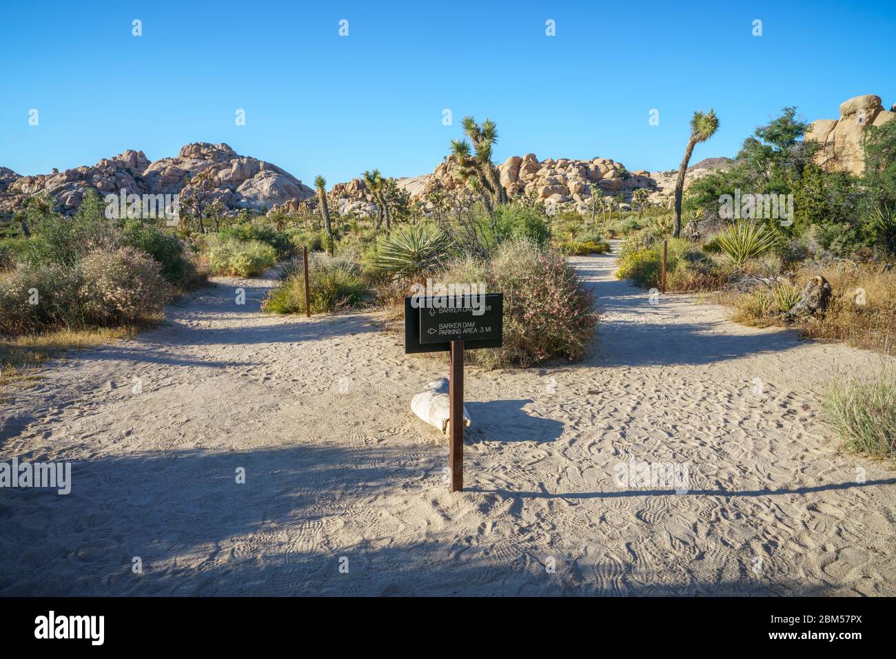 hiking the barker dam nature trail in joshua tree national park ...