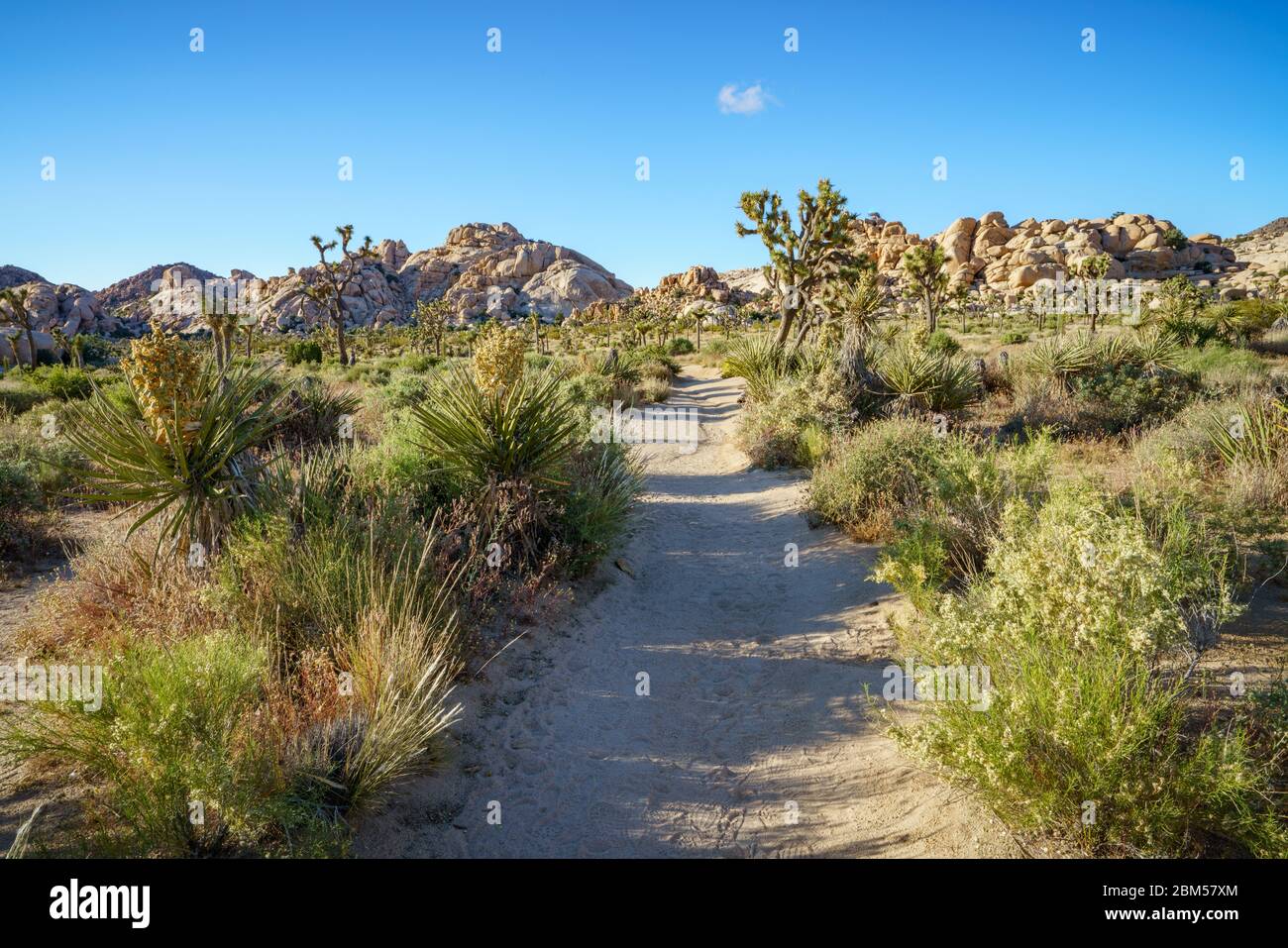 hiking the barker dam nature trail in joshua tree national park ...