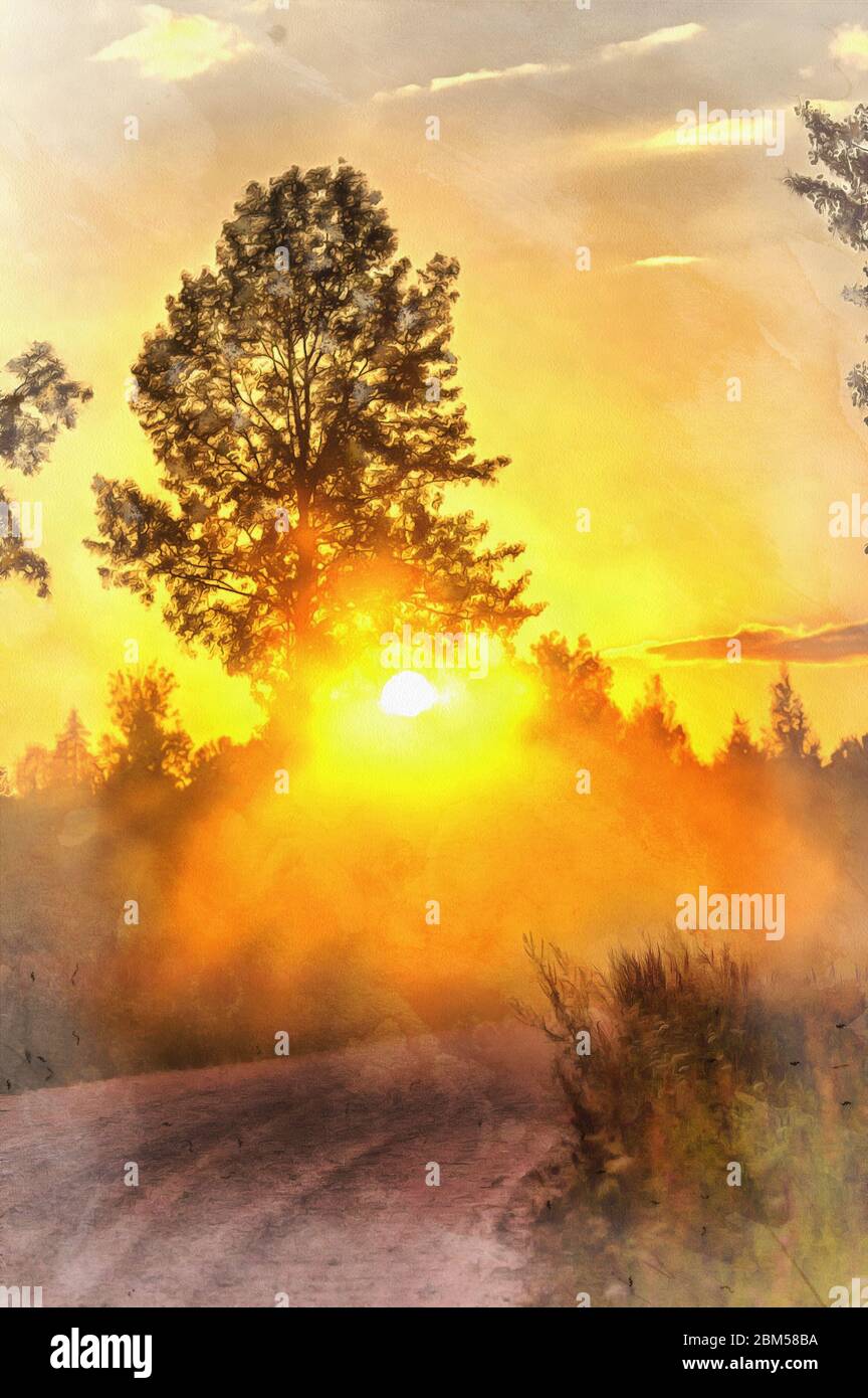 Beautiful sunshine through the trees with fog colorful painting looks ...