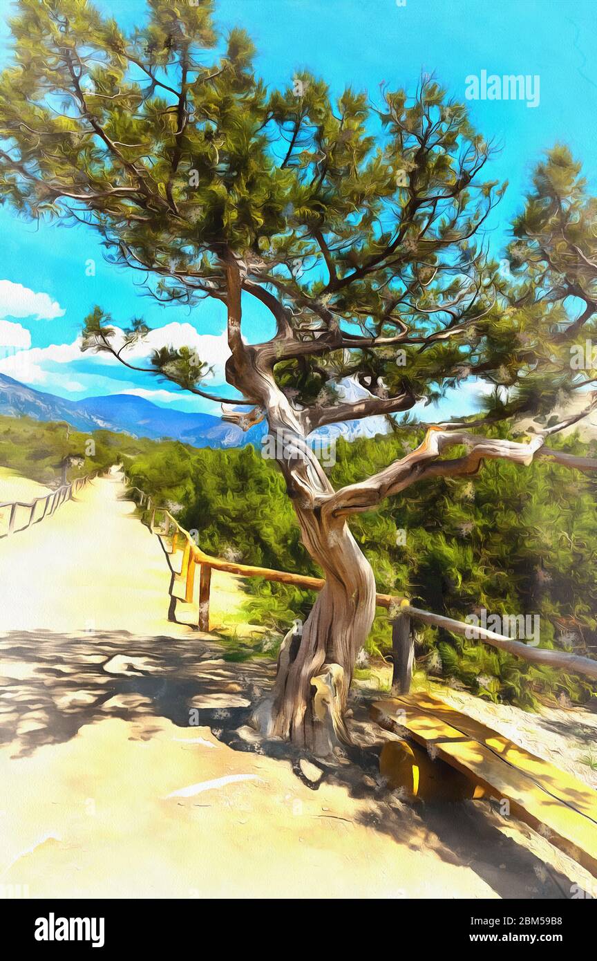 One tree standing colorful painting looks like picture Stock Photo - Alamy